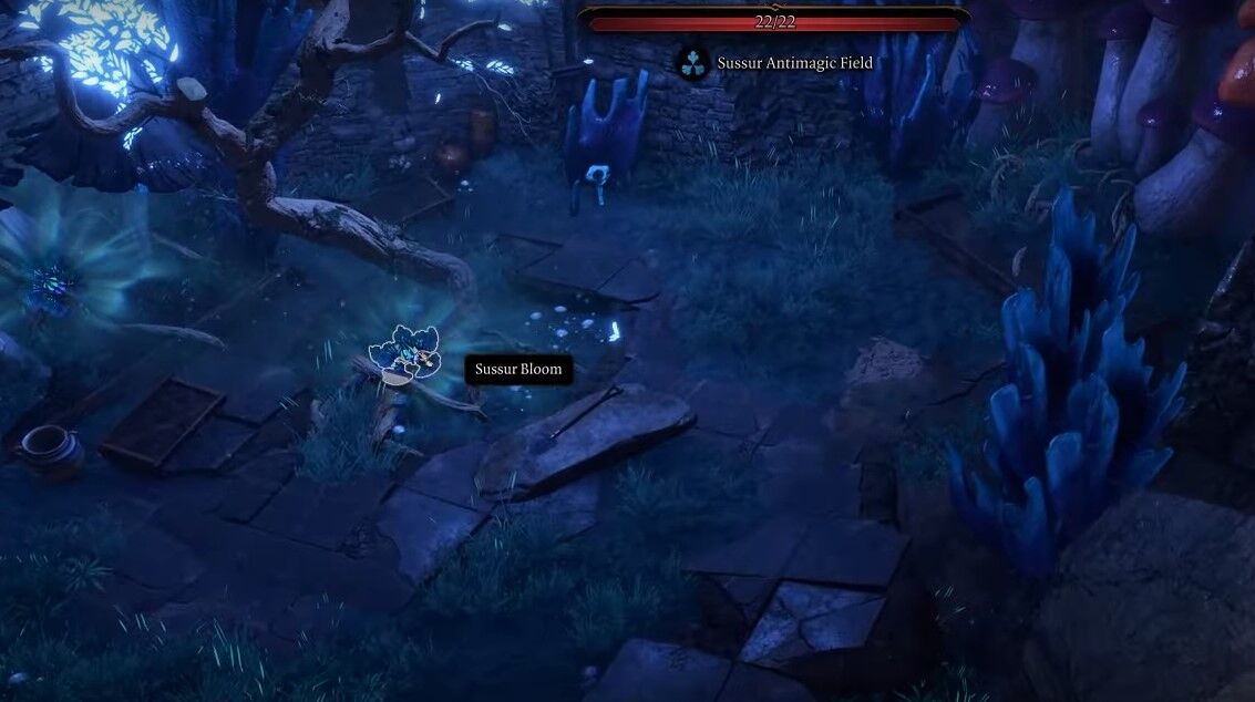 The Arcane Tower BG3 Walkthrough and Tips